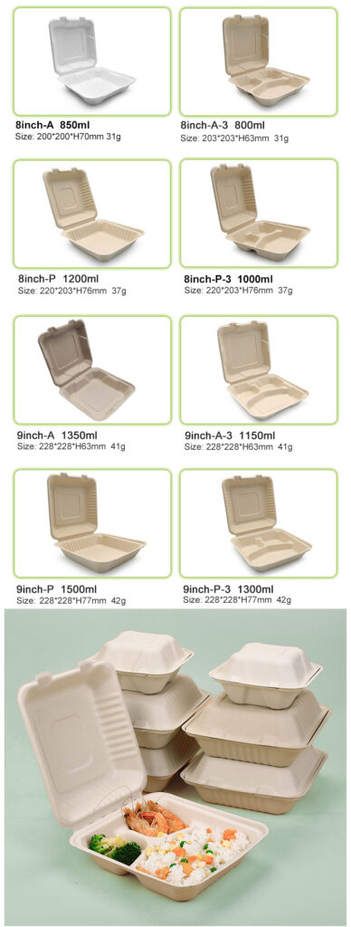 Sugarcane Pulp Clamshell Box 8 inch VVG-SSH0602 - VVG ECO HI-TECH